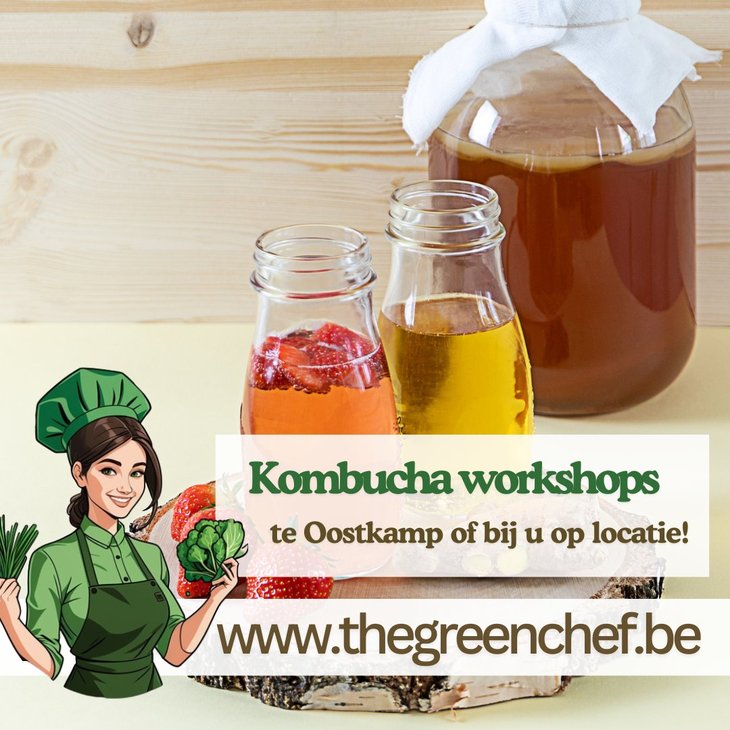 Kooklessen: Kombucha Workshop te Oostkamp - Oostkamp (West-Vlaanderen)